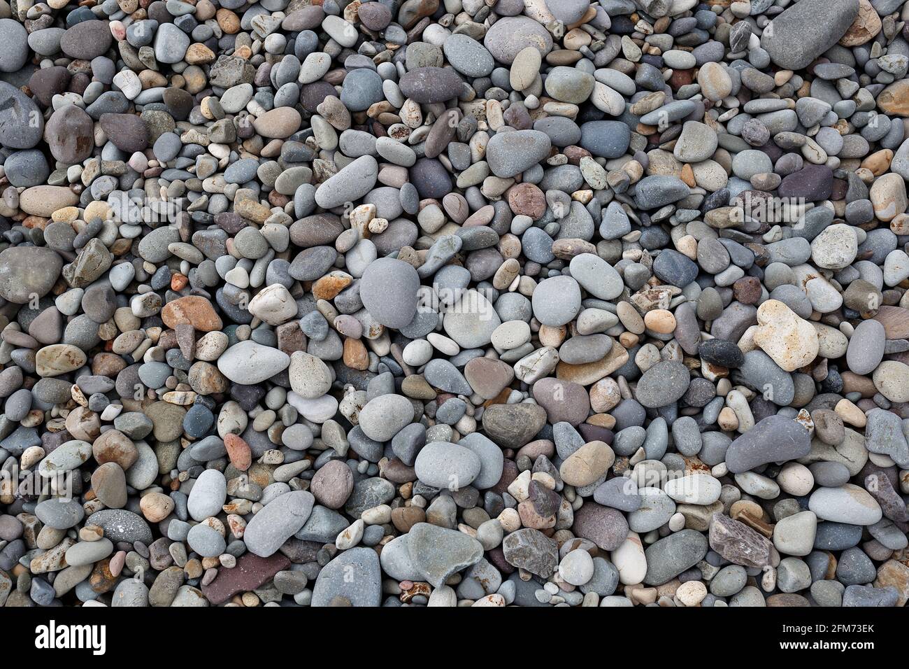 wet gray pebbles on the seashore. great background for design Stock ...
