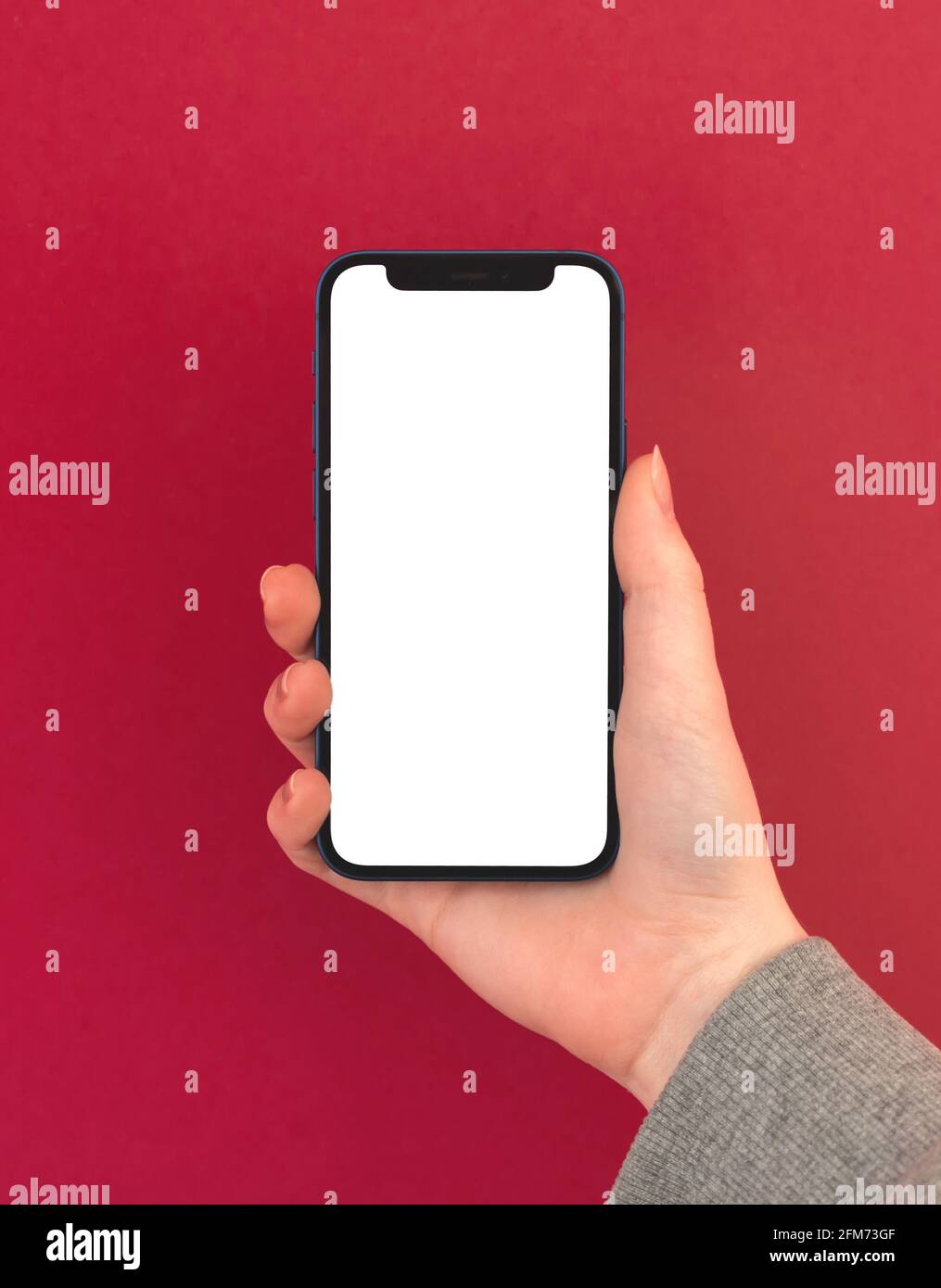 Kharkov, Ukraine - May 5, 2021: Hand hold iPhone 12 with white screen ...