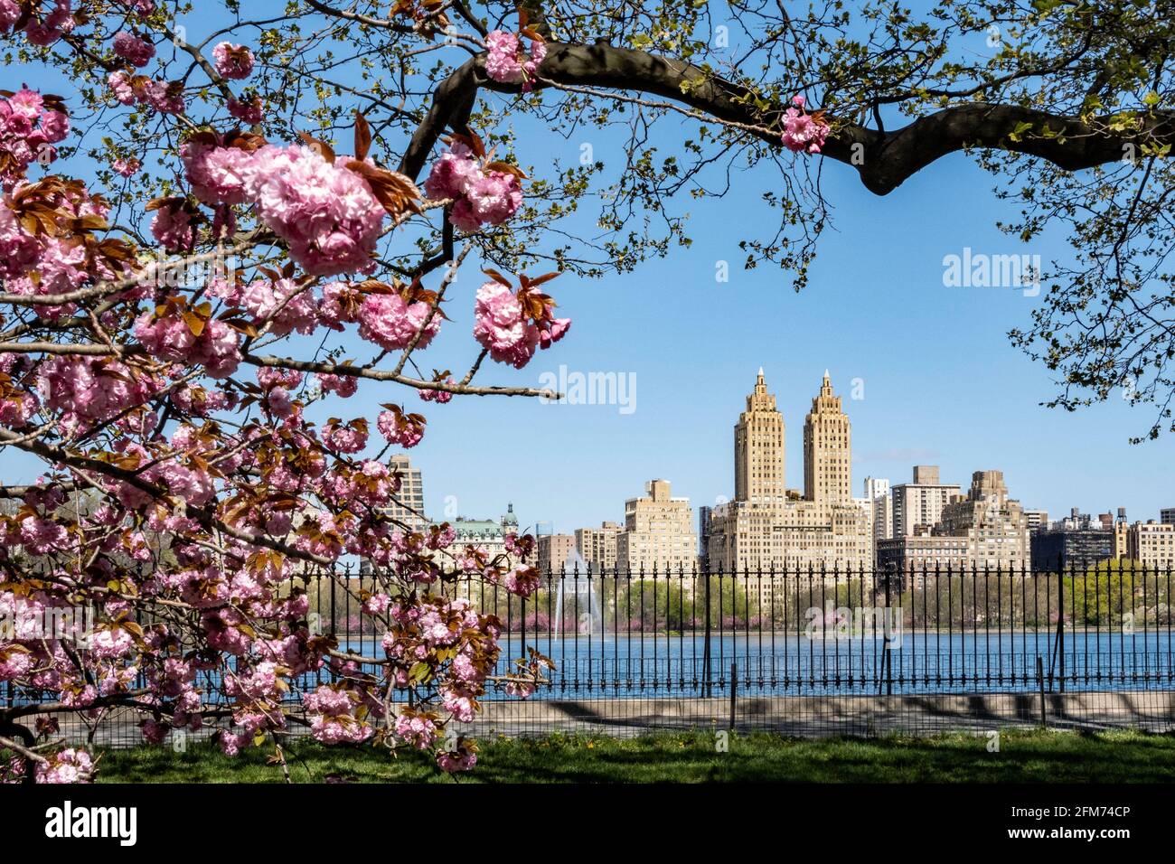 Cherry blossoms new york city hi-res stock photography and images - Alamy