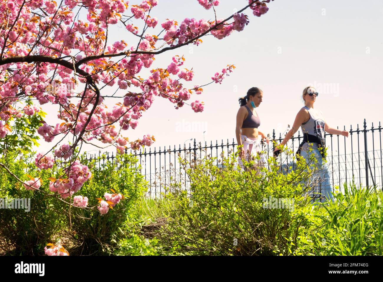 The Stephanie and Fred Shuman Running Track in Central Park is popular ...