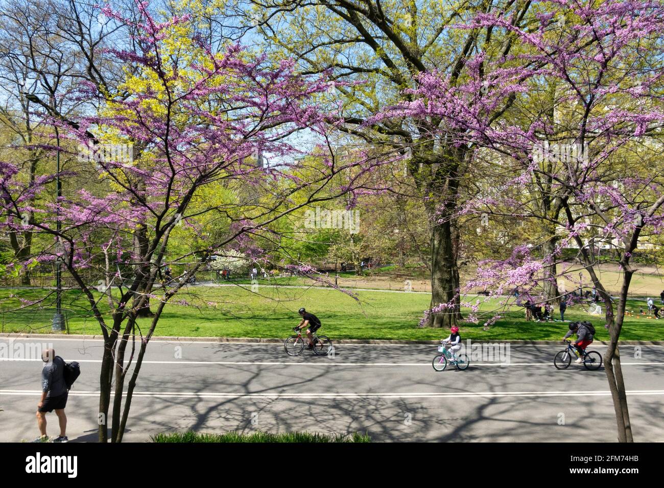 Bicyclists Enjoying a Spring Day in Central Park , 2021, NYC, USA Stock ...