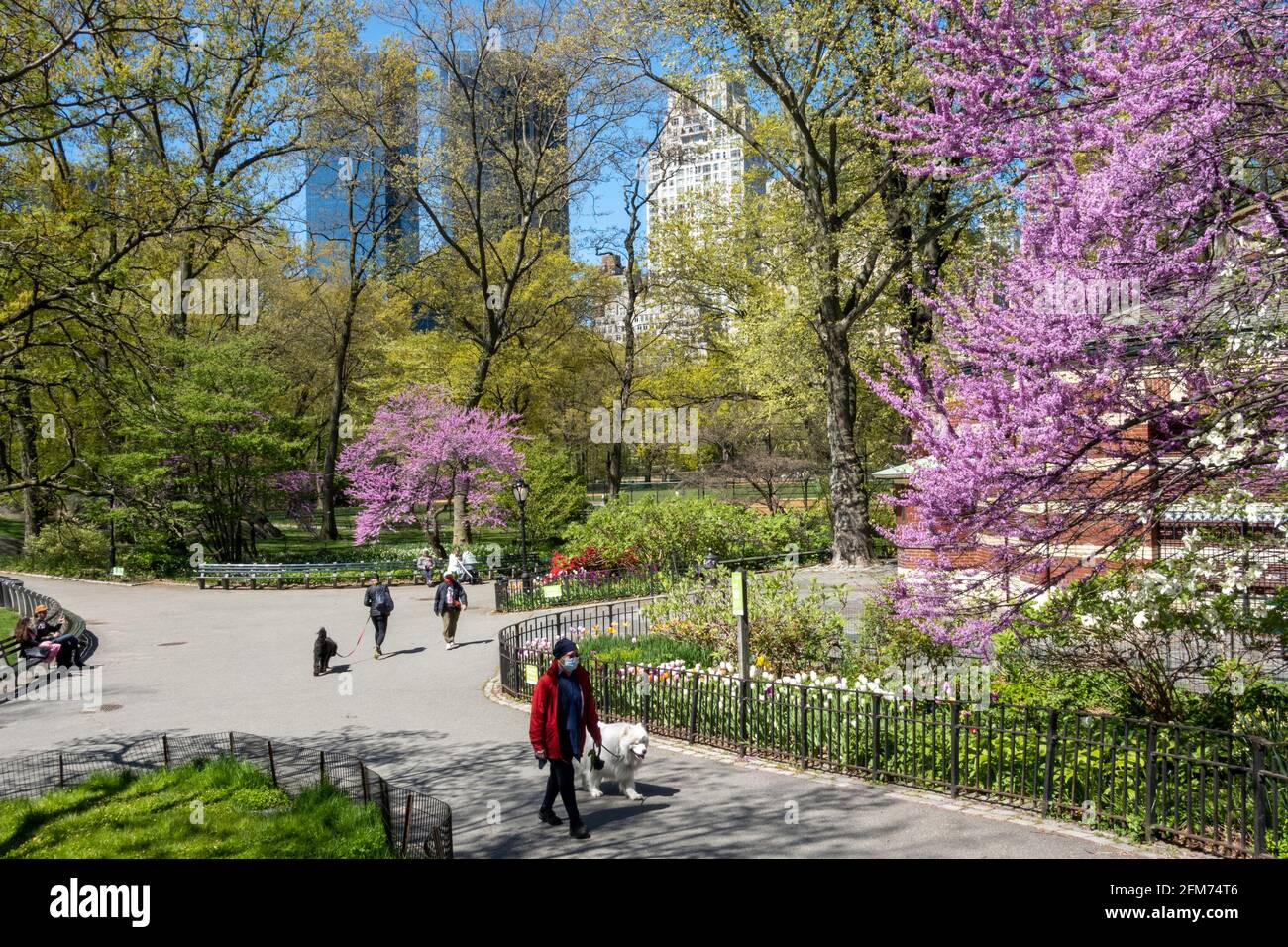 Central park nyc dogs hi-res stock photography and images - Alamy