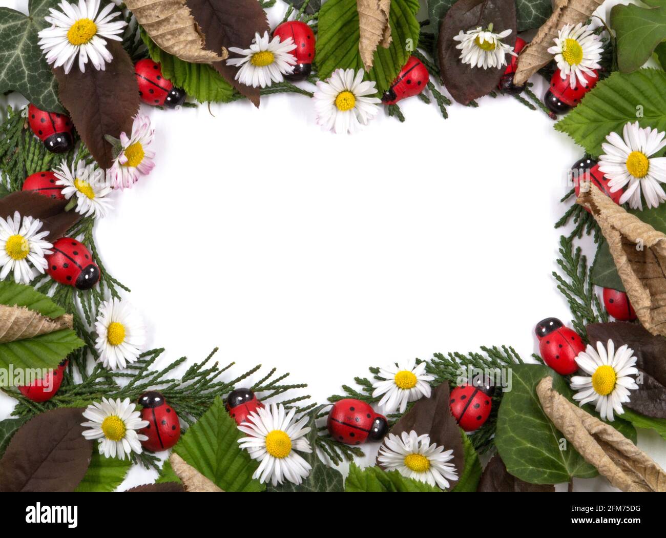 Colorful frame of natural leaves and flowers Stock Photo - Alamy