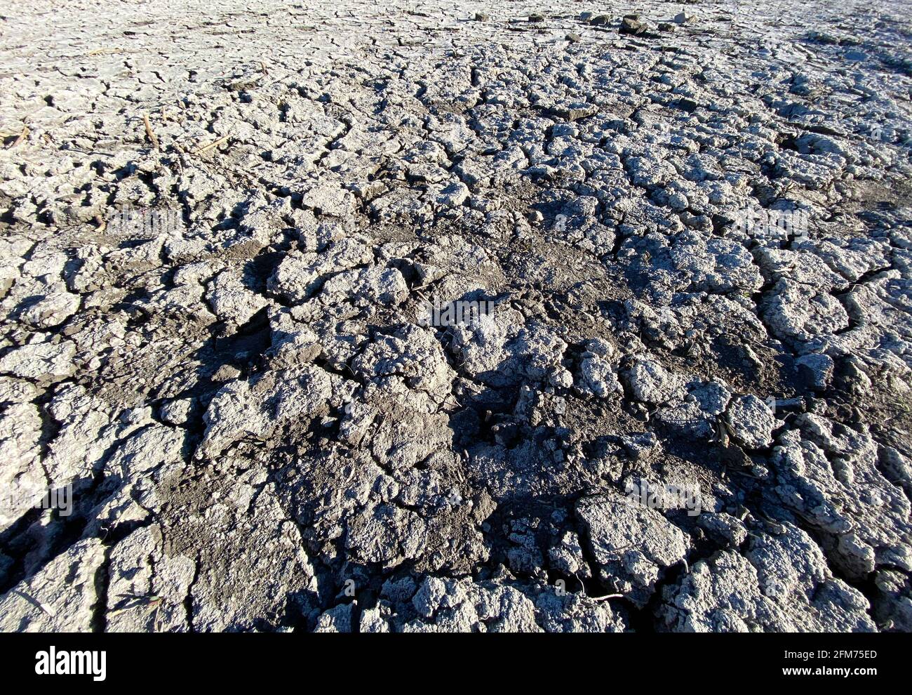 Bottom mud hi-res stock photography and images - Alamy
