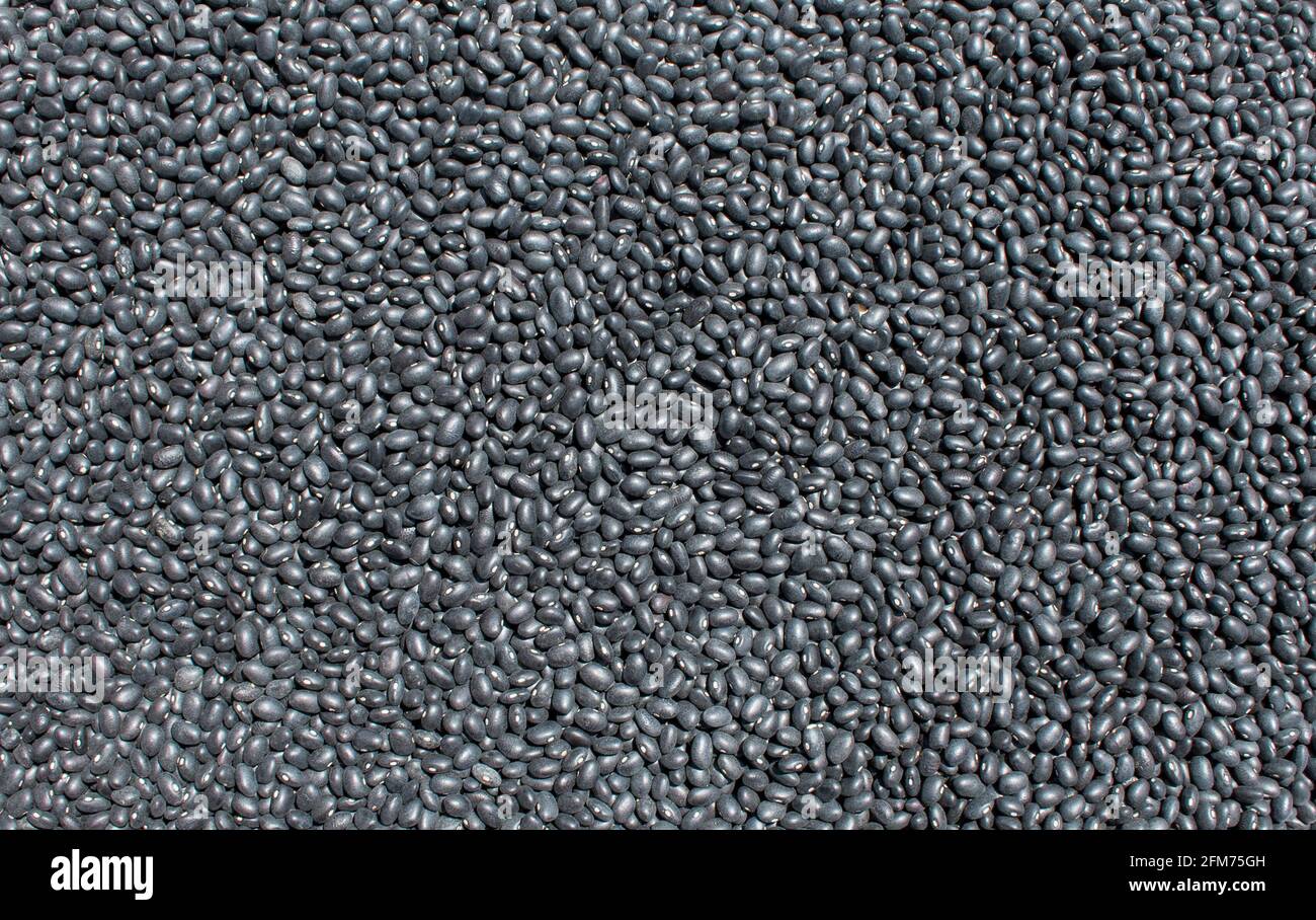 black beans laid out in a large display in natural sunlight food ...