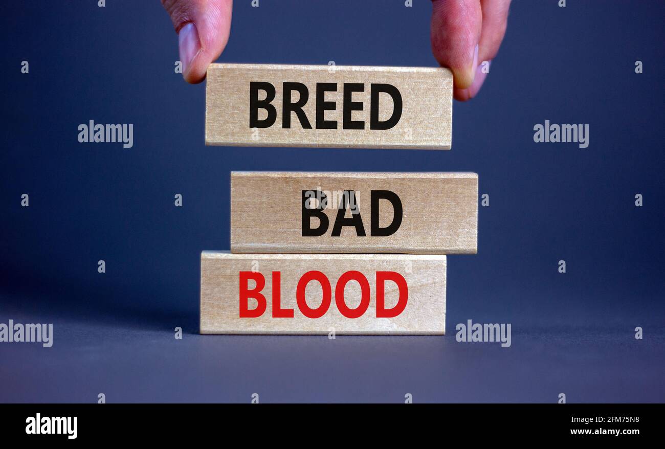 Breed bad blood symbol. Businessman holds wooden block with words ...