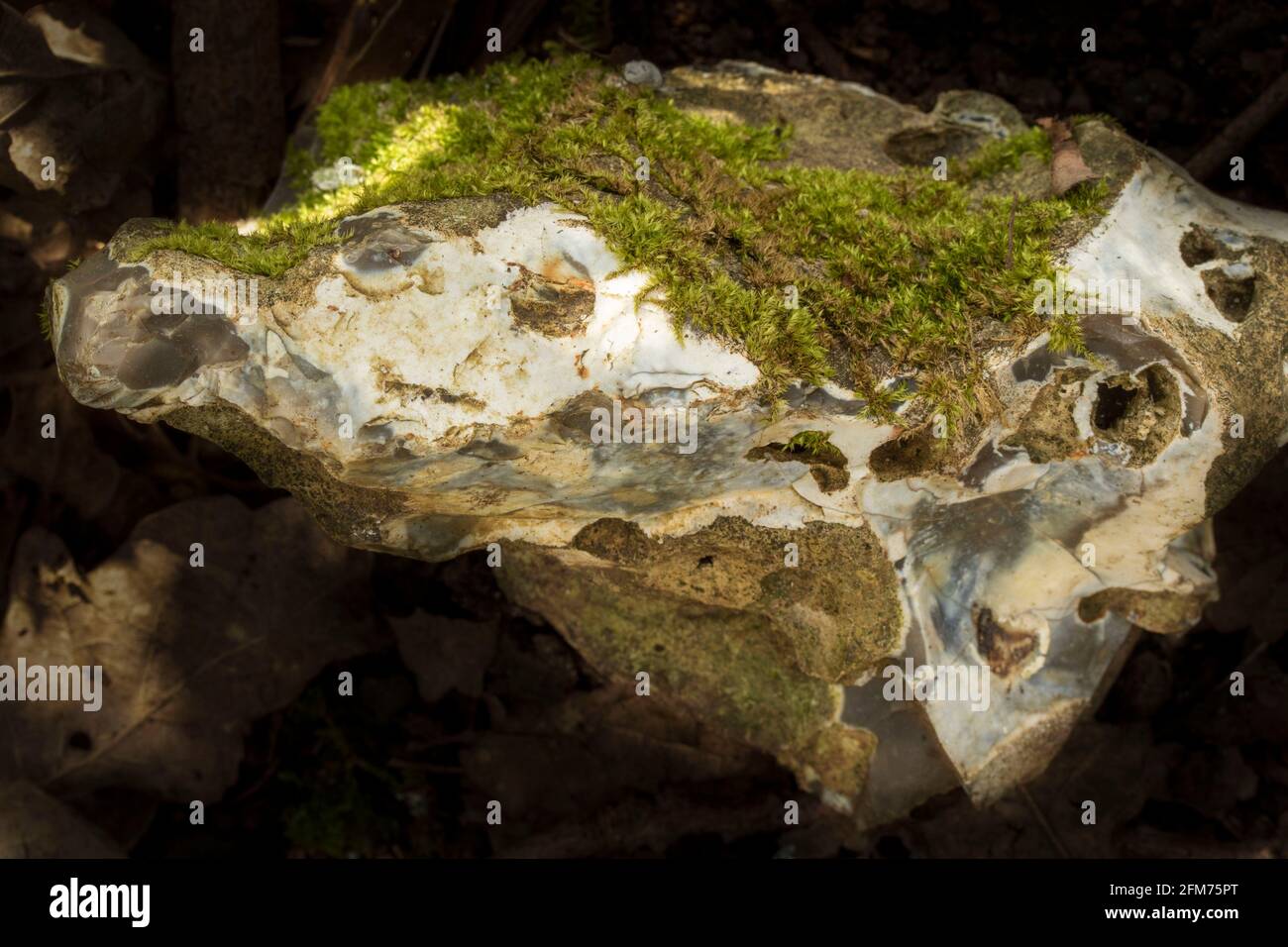 Mainstay poster hi-res stock photography and images - Alamy