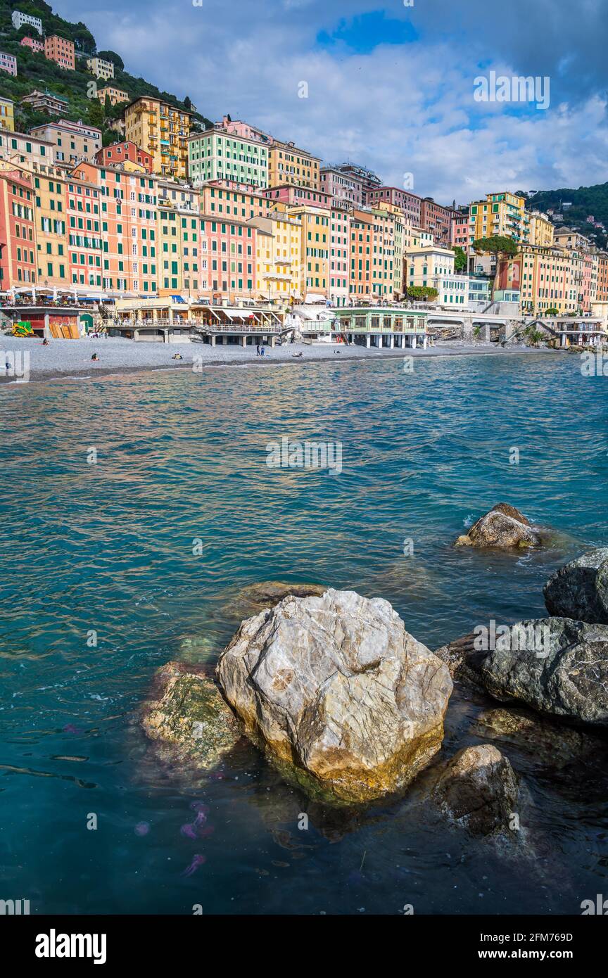 The colorful houses of the marine village of Camogli on the italian ...