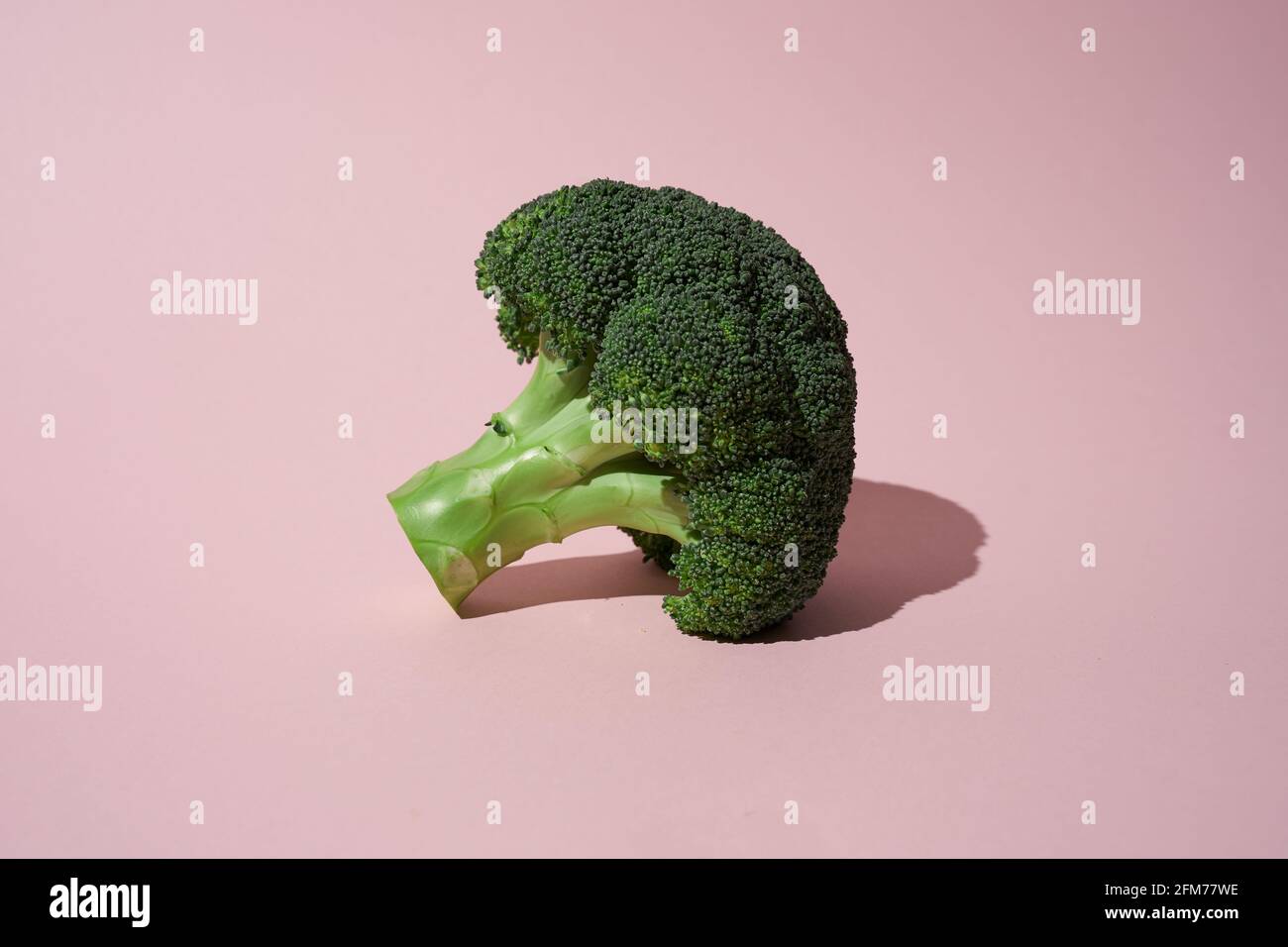 Green Broccoli head on pink background Stock Photo - Alamy