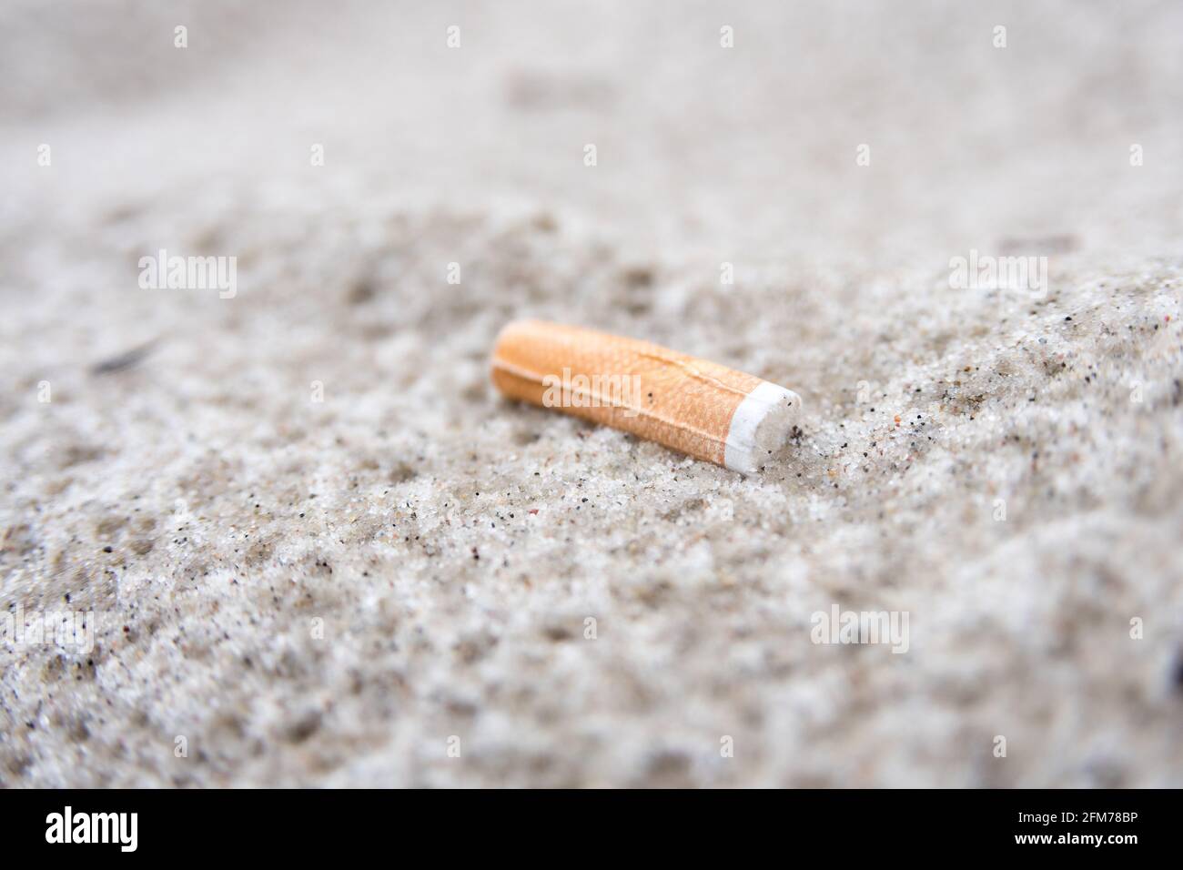 Used smoked cigarette stubs in Gdansk, Poland. May 3rd 2021 © Wojciech ...