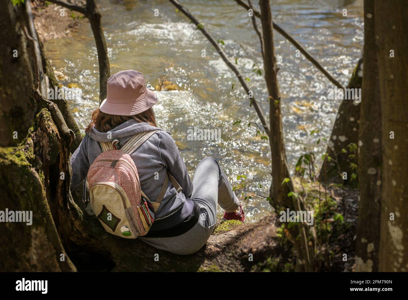 Adventurer Girl In Casual Sport Outfit Sitting On The Tree High Above ...