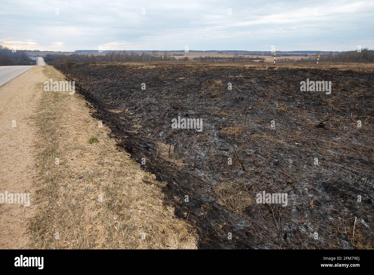 a strong forest fire breaks out in windy weather due to human fault ...