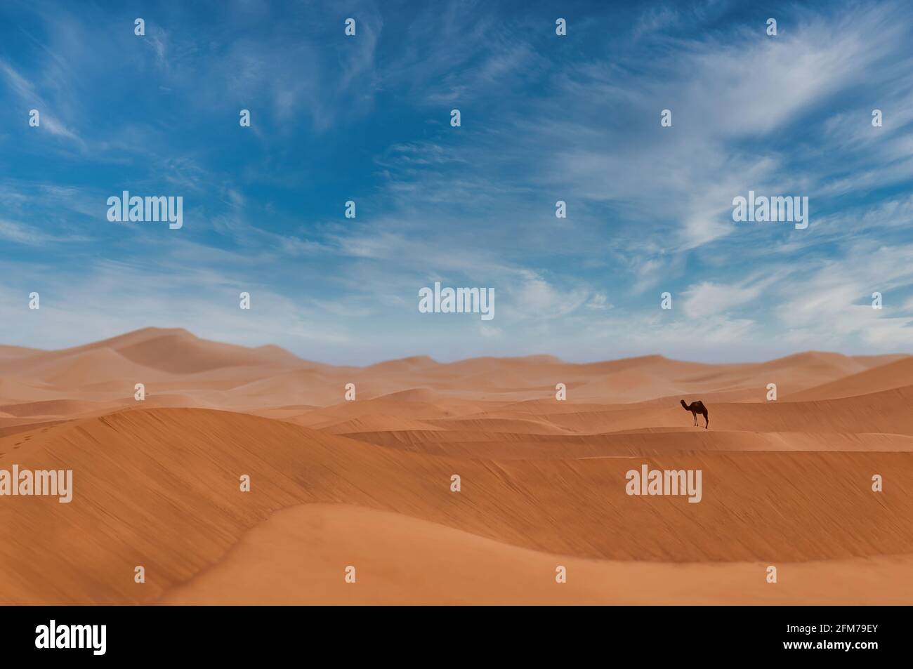 Biggest sand desert "Erg Chegaga" in Morocco Stock Photo - Alamy