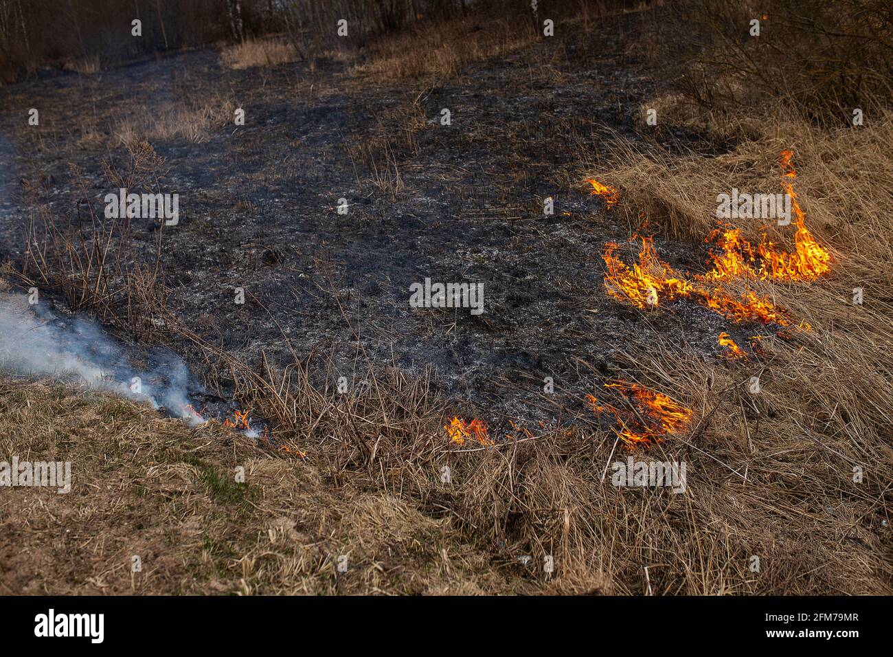 Fire breaks forest fires hi-res stock photography and images - Alamy