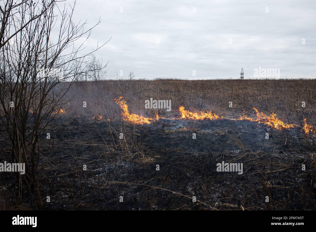 Siberia forest fires hi-res stock photography and images - Alamy