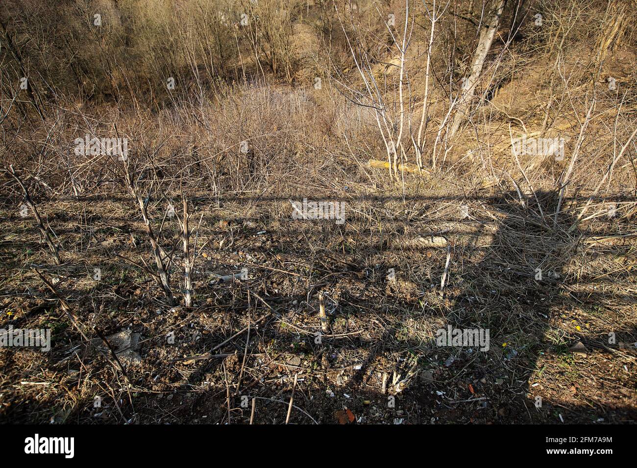 Natural slope hi-res stock photography and images - Alamy