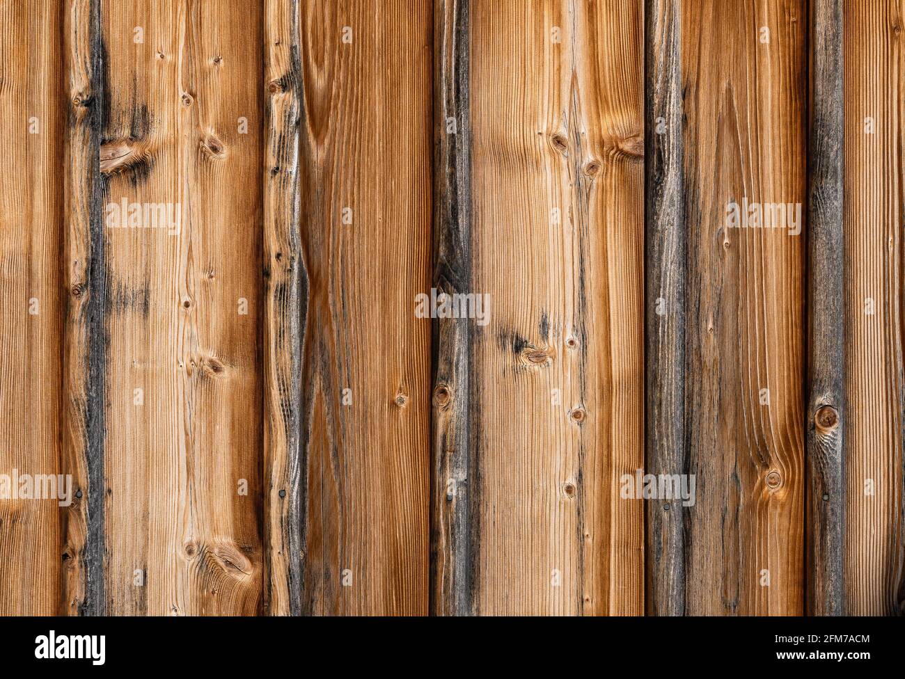 Bright wood texture background wall with old natural pattern Stock ...