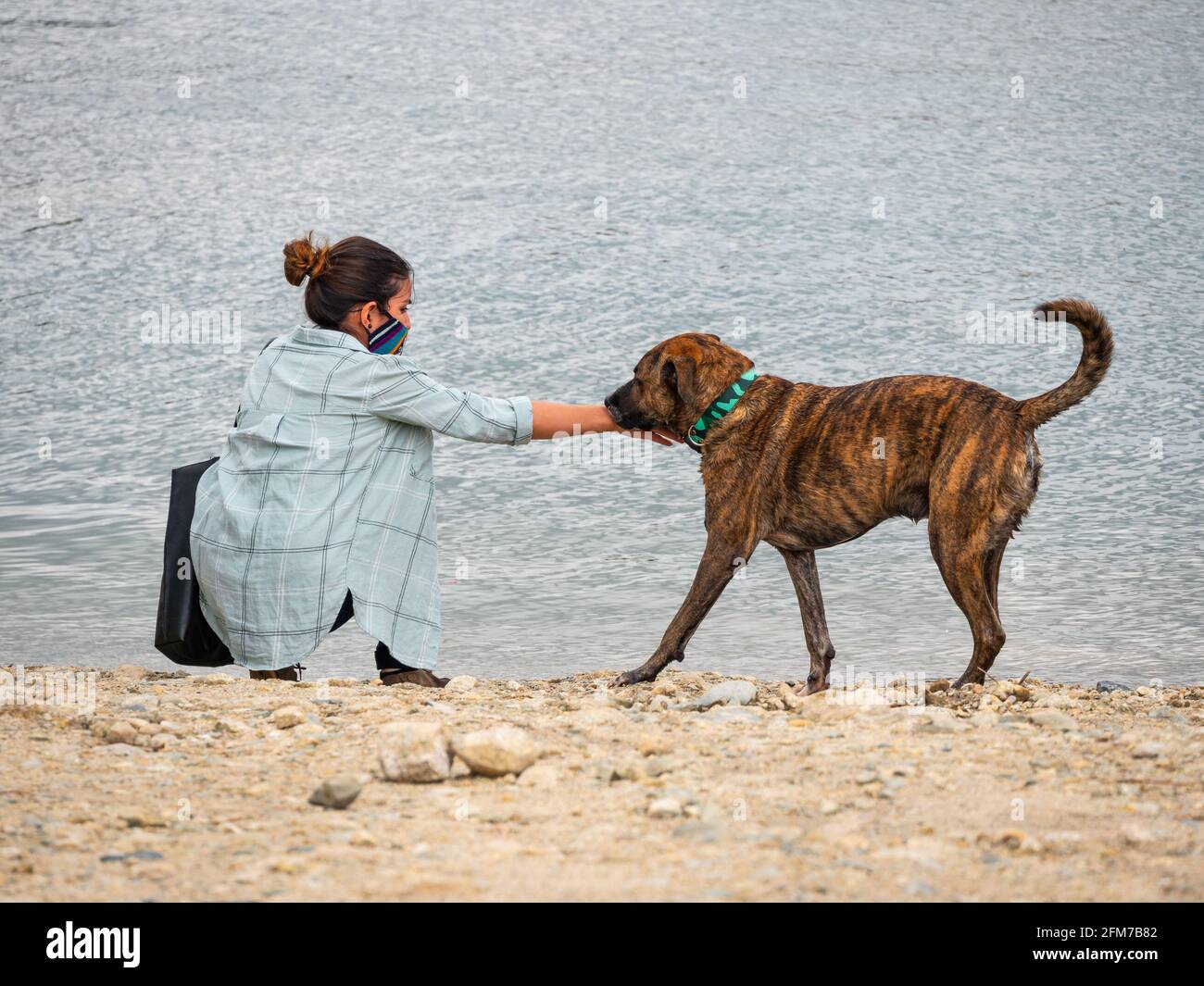 Young Latin Woman Sitting on the Riverbank and Petting a Local Mongrel ...