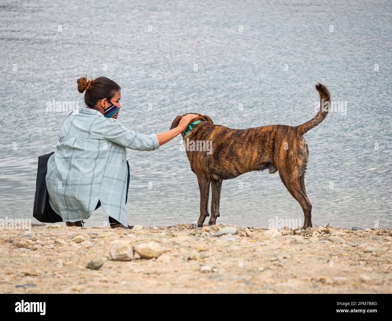 Young Latin Woman Sitting on the Riverbank and Petting a Local Mongrel ...