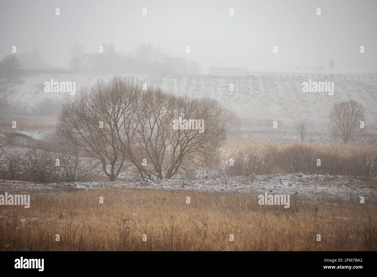 Weak banks hi-res stock photography and images - Alamy