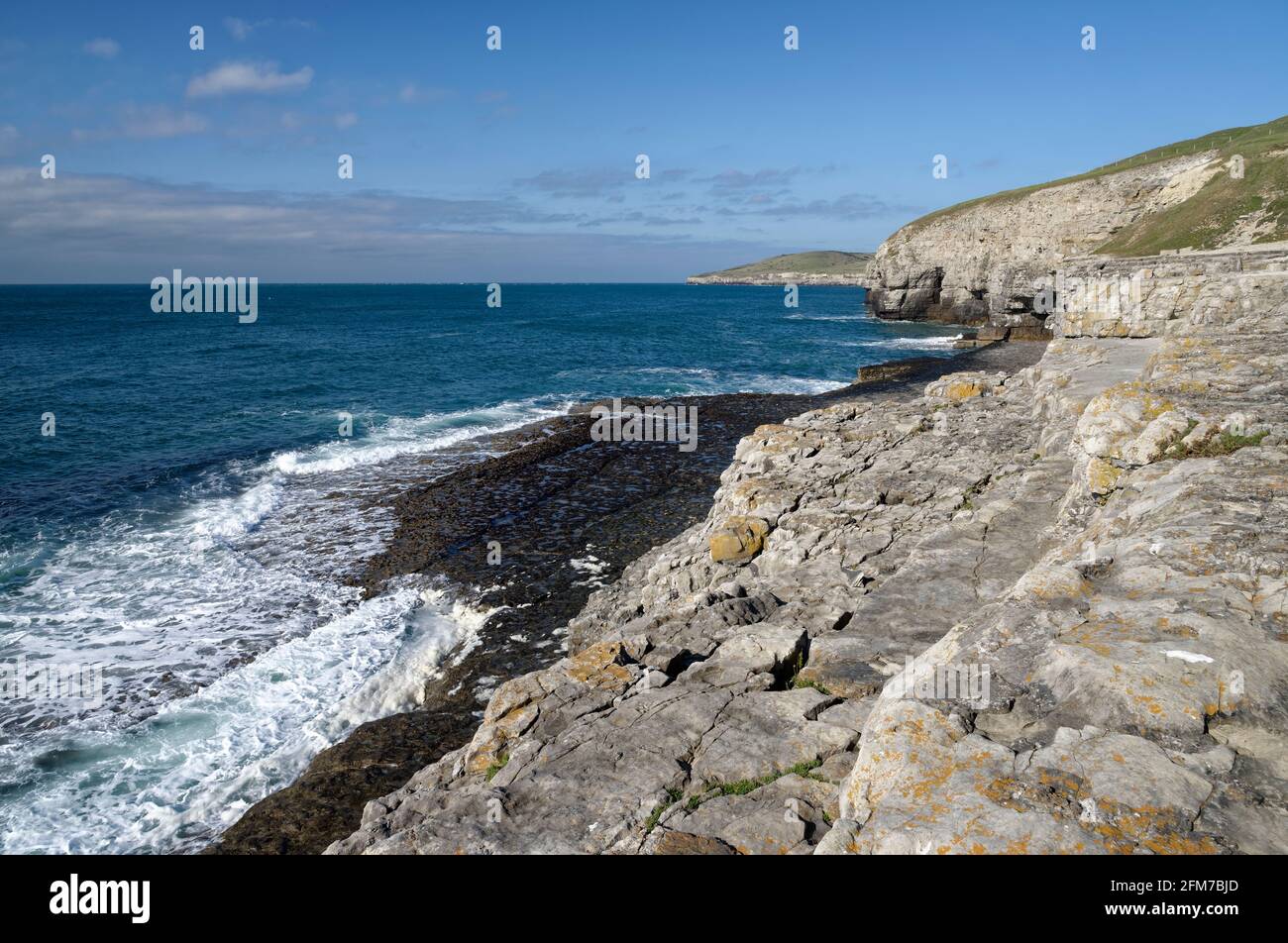 Dancing Ledge, Purbeck coast, Dorset. View west with Seacombe Cliff and ...