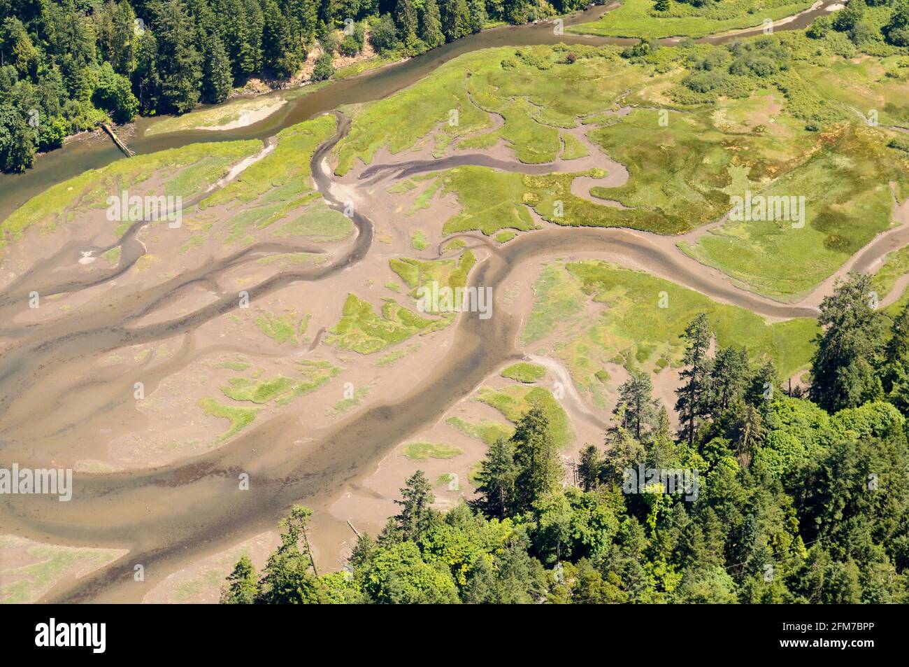 Aerial photograph of the estuary at Goldstream Provincial Park ...