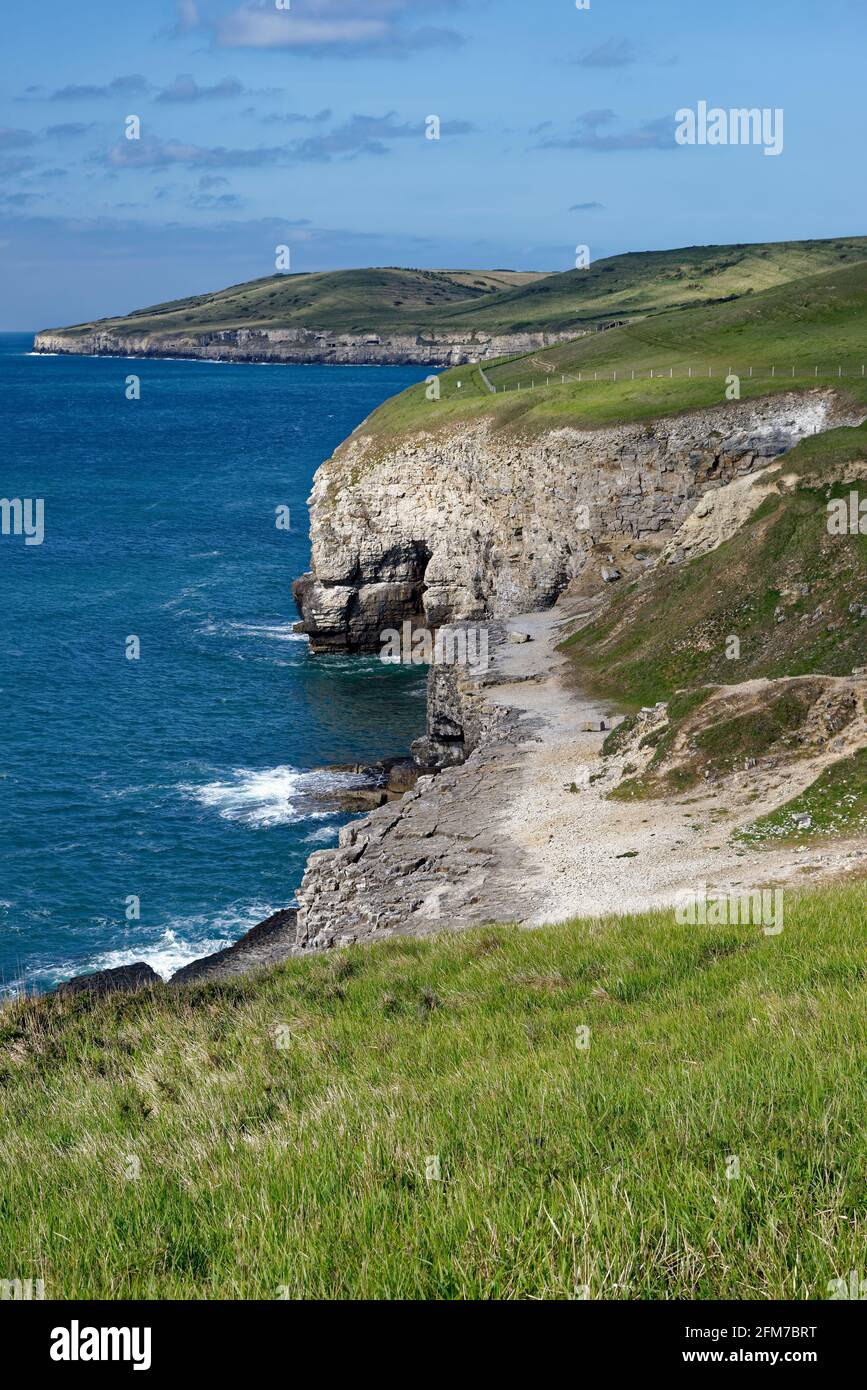 Dancing Ledge & Purbeck coast, Dorset. View west with Seacombe Cliff ...