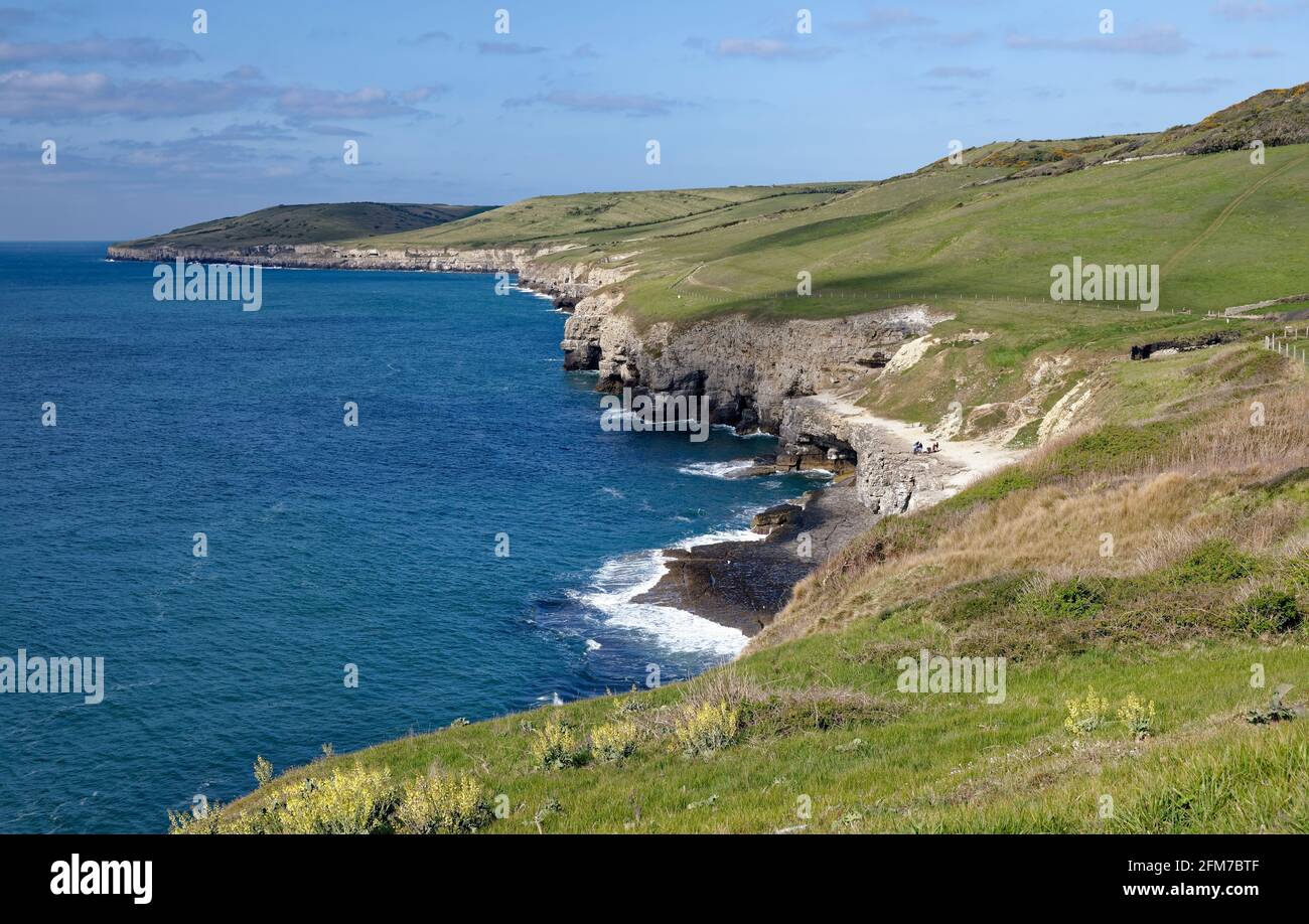 Dancing Ledge & Purbeck coast, Dorset. View west with Seacombe Cliff ...