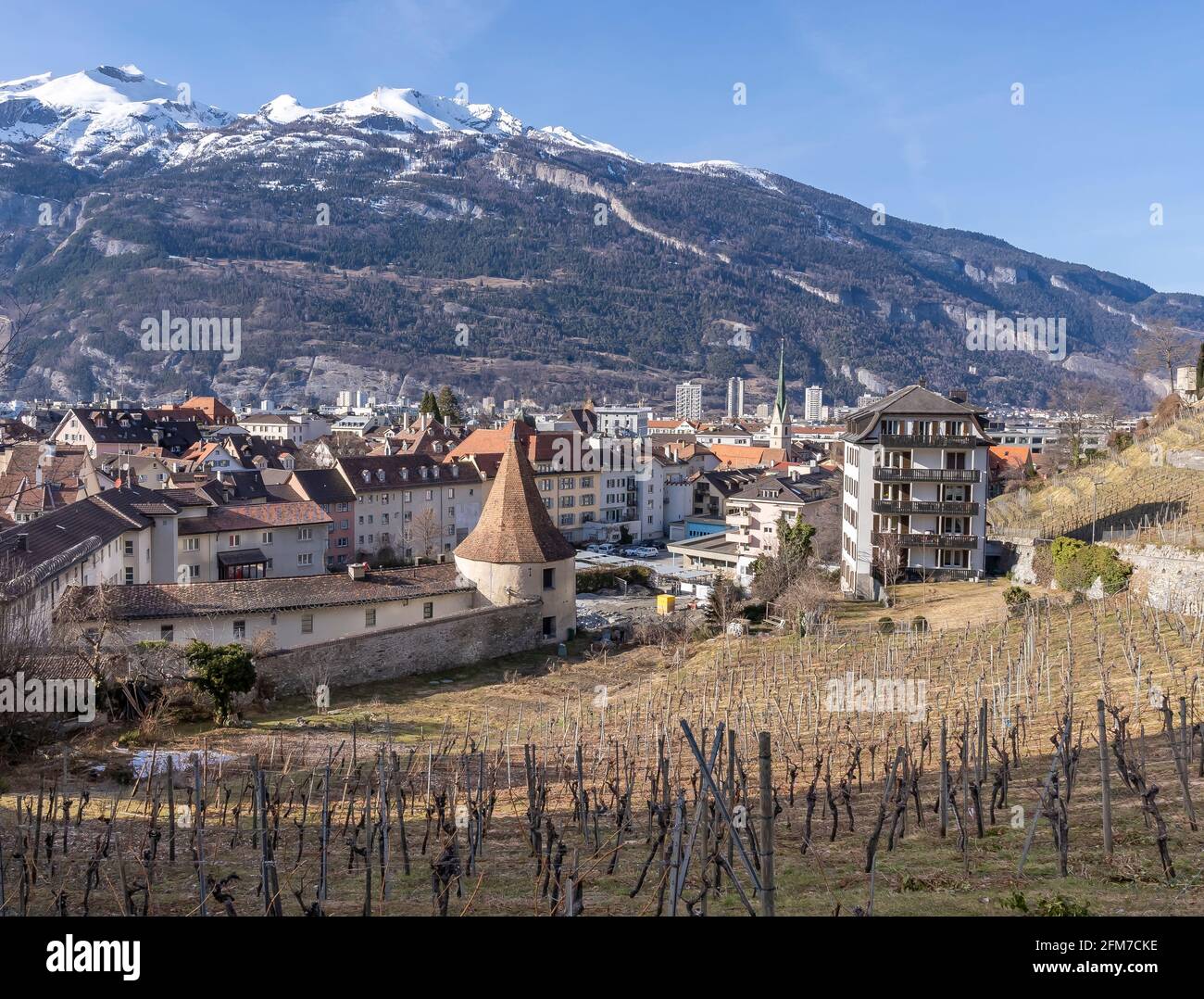 Winter view of the vineyard and the old town with the medieval ...
