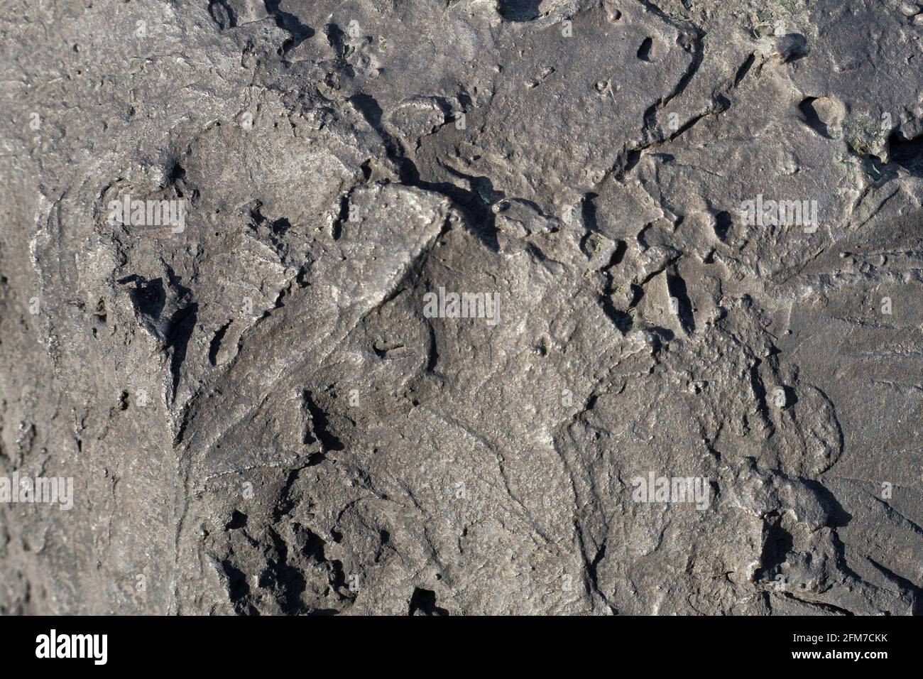 The structure of the surface of the gray stone rock, useful for the ...