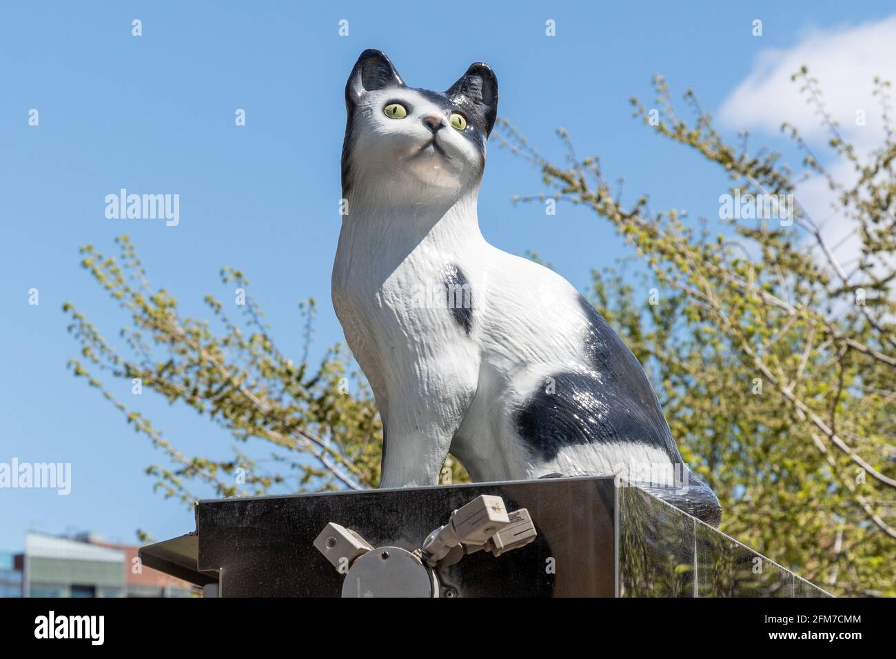 Cat statue hi-res stock photography and images - Alamy