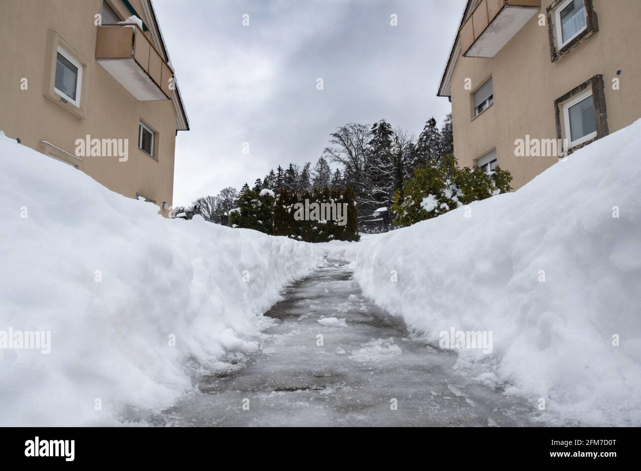 An icy path through the snow in a settlement between two residential ...