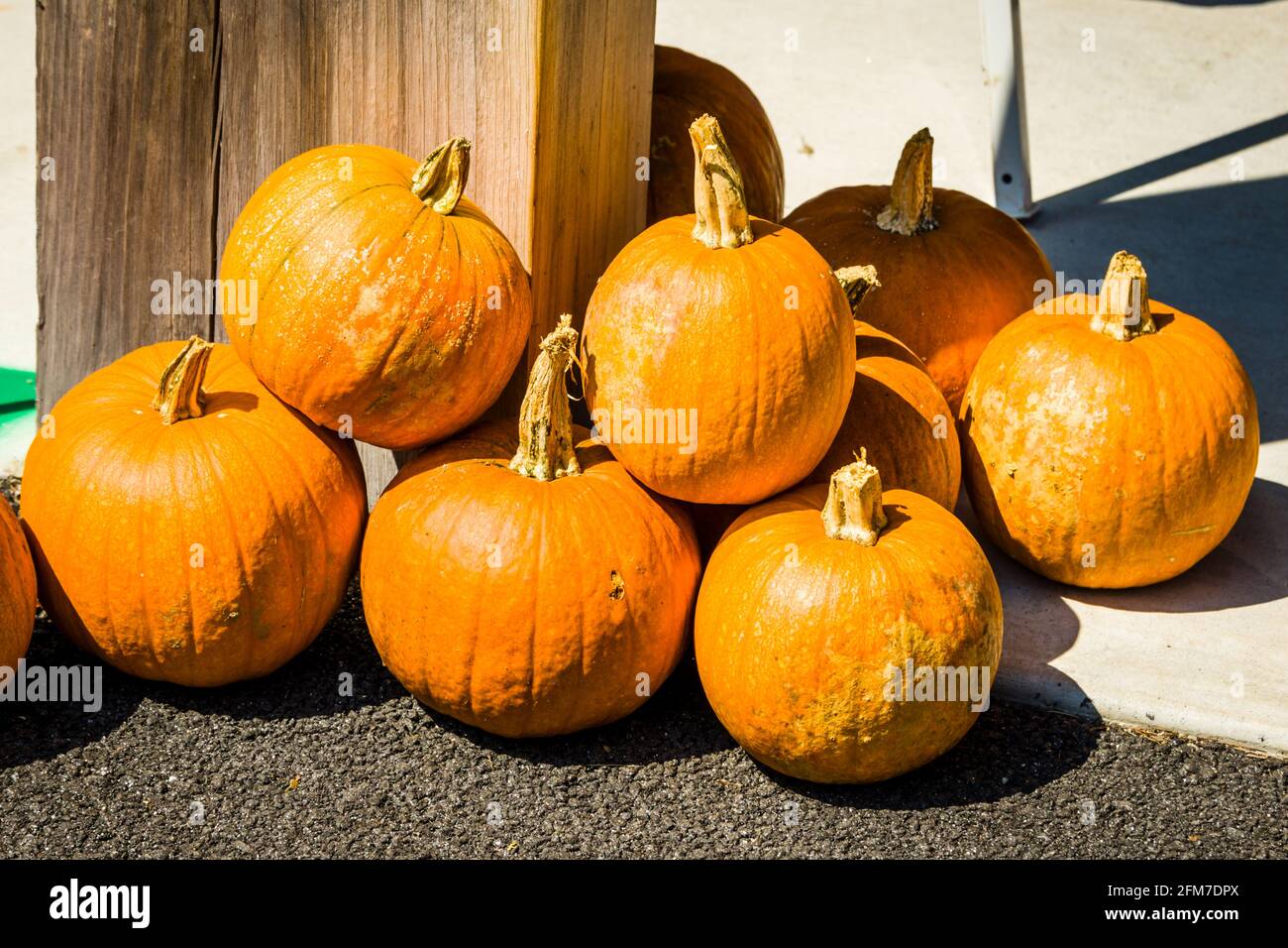 Georgia pumpkins hi-res stock photography and images - Alamy
