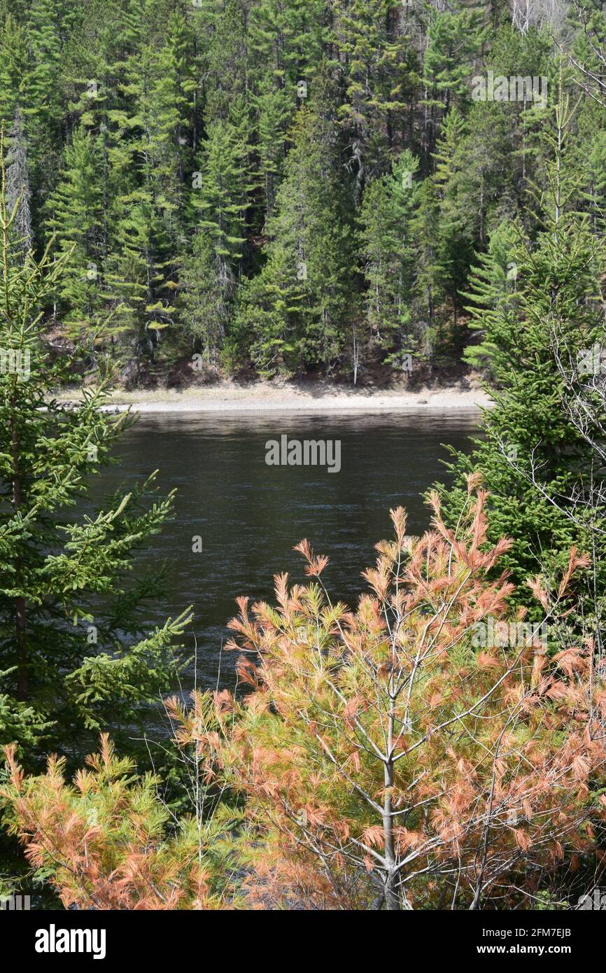 Scenic St-Maurice river in southern Quebec Stock Photo - Alamy