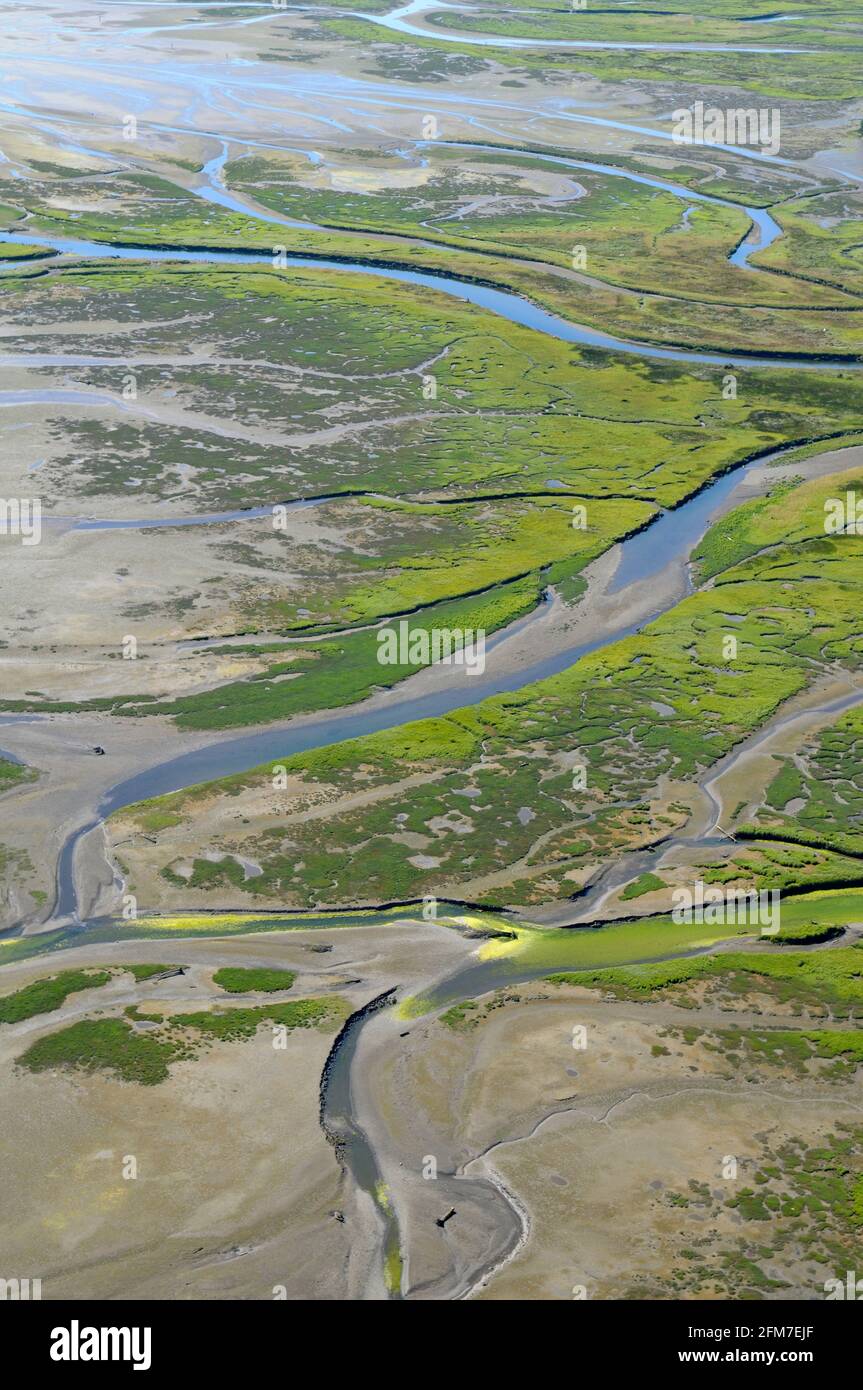 Aerial photograph of the Chemainus River Estuary, Chemainus Valley ...