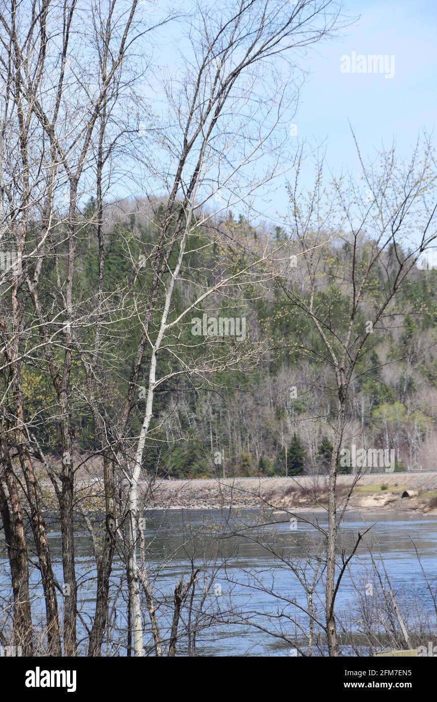 Scenic St-Maurice river in southern Quebec Stock Photo - Alamy
