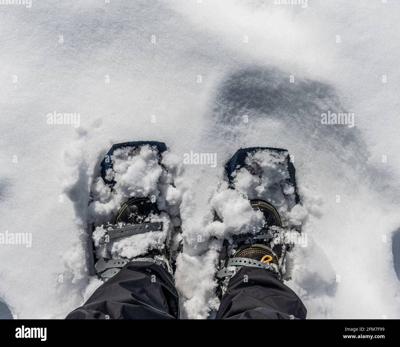 Winter trekking legs in snowshoes hi-res stock photography and images ...