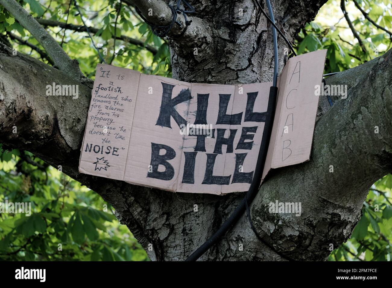 Tree protests hi-res stock photography and images - Alamy