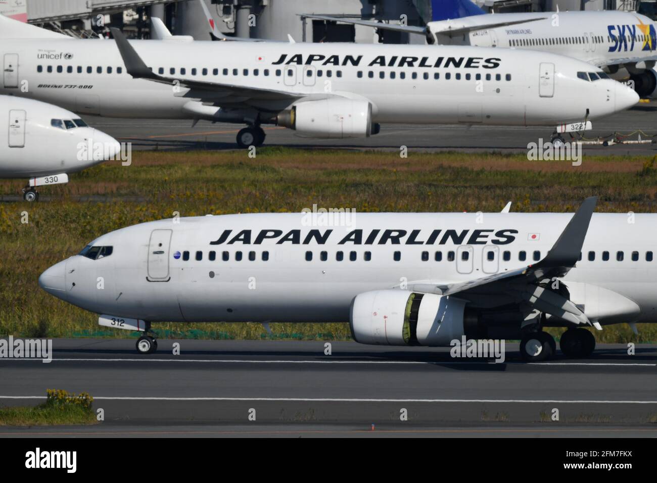 JAL 737-800 (JA312J) landing at Haneda Airport, on October 29, 2020 ...