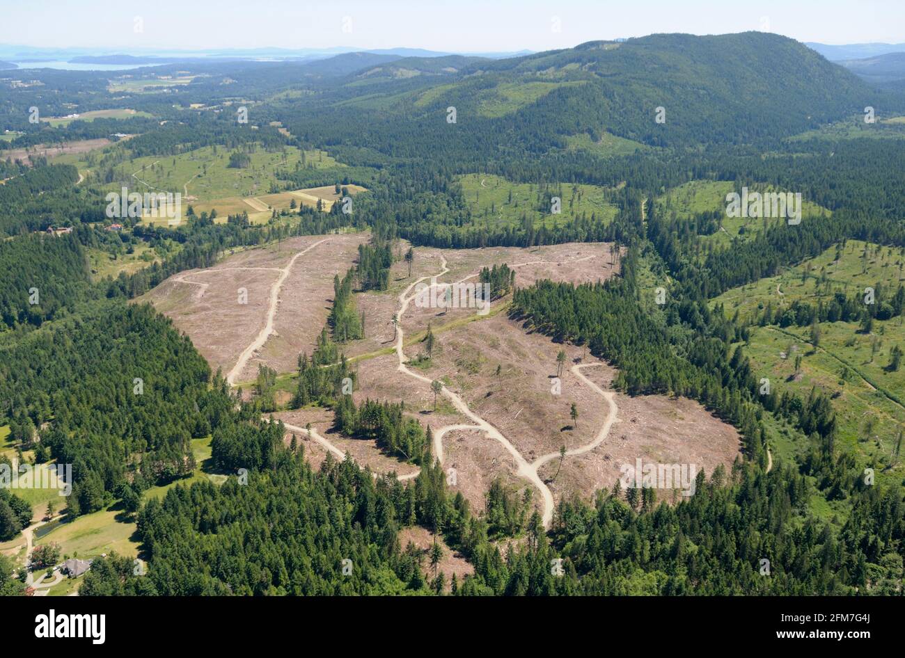 Aerial photo of clear cut logging, Vancouver Island, British Columbia ...