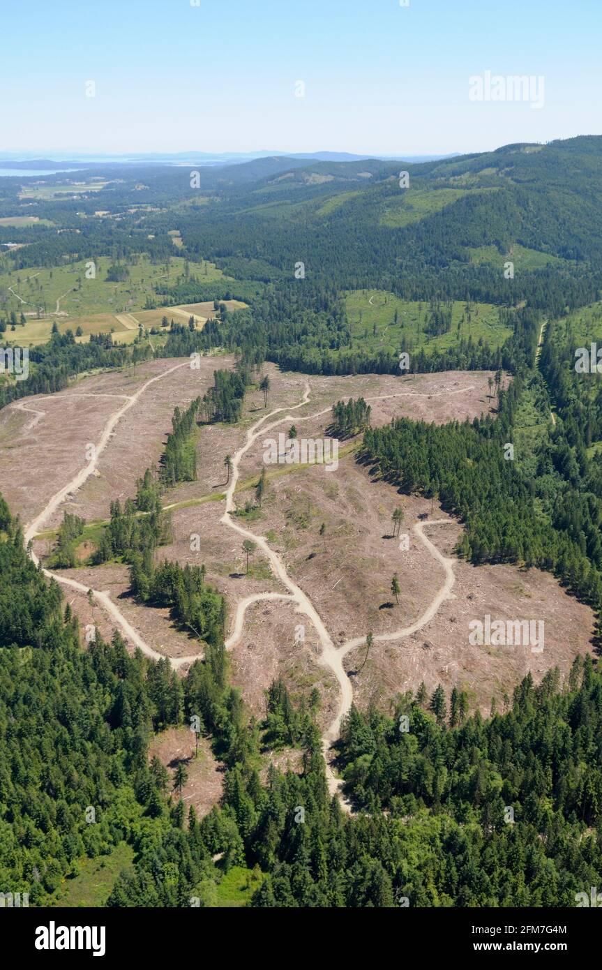 Aerial photo of clear cut logging, Vancouver Island, British Columbia ...