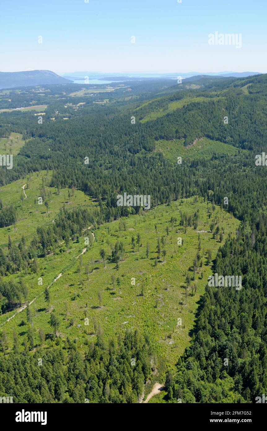 Aerial photo of clear cut logging, Vancouver Island, British Columbia ...