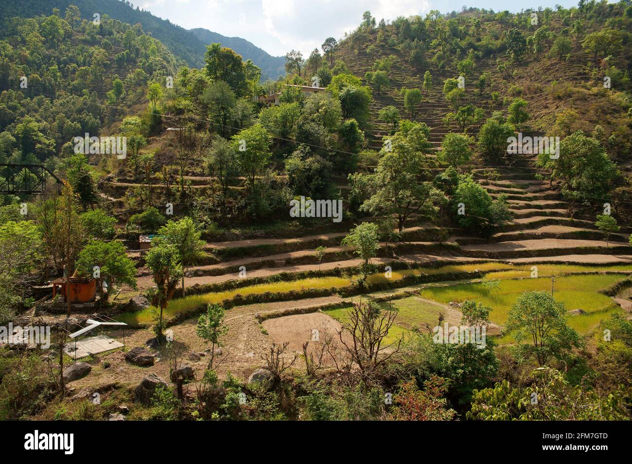 Dwarahat hi-res stock photography and images - Alamy