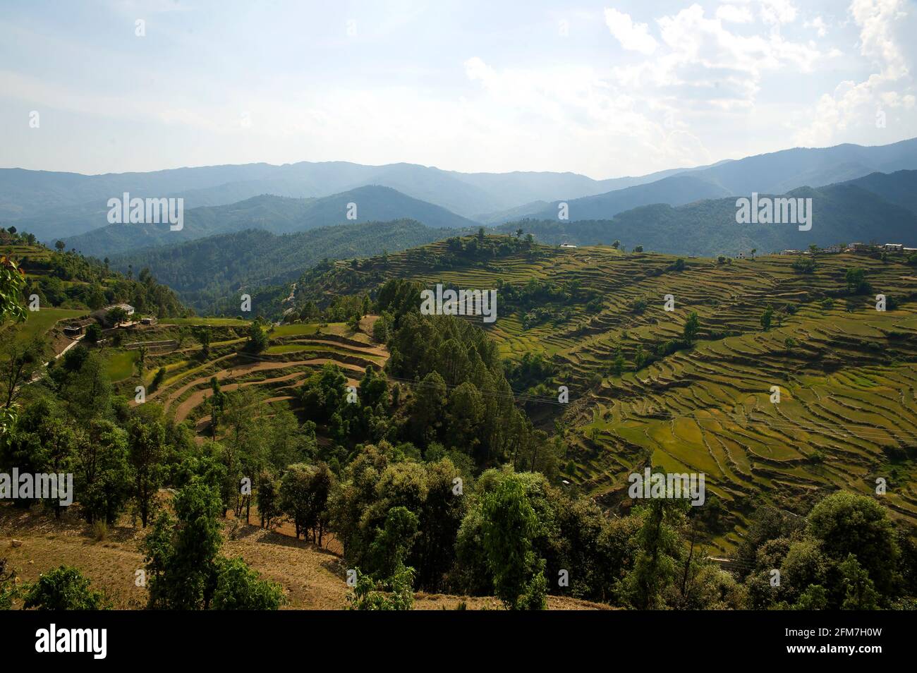 Dwarahat hi-res stock photography and images - Alamy