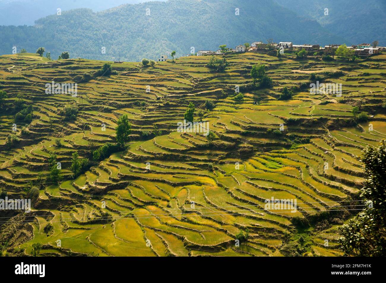 Dwarahat hi-res stock photography and images - Alamy