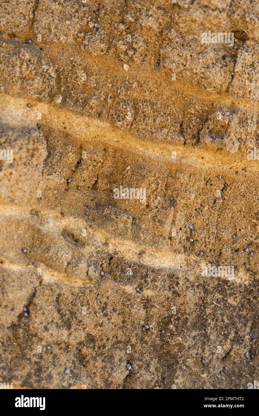 Australian Beach Textures Stock Photo - Alamy
