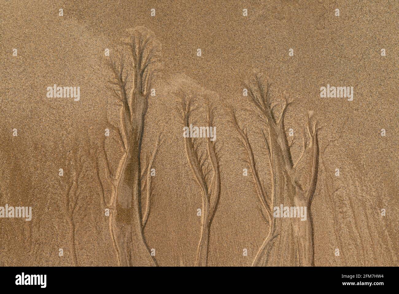 Australian Beach Textures Stock Photo - Alamy