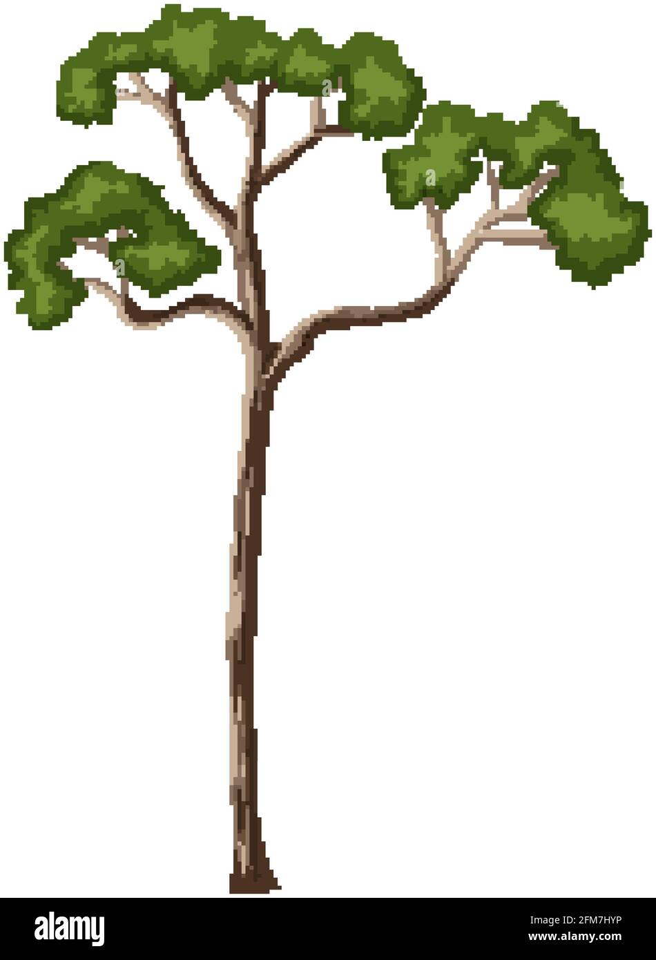 Rainforest Plants And Trees Clipart