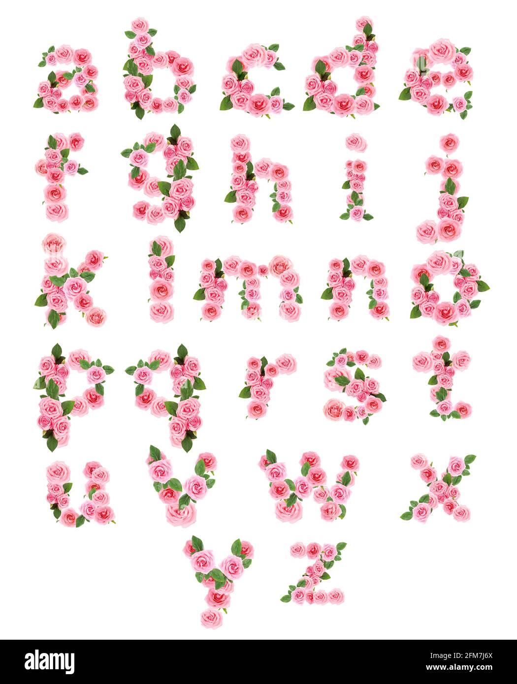English alphabet made of beautiful rose flowers on white background ...