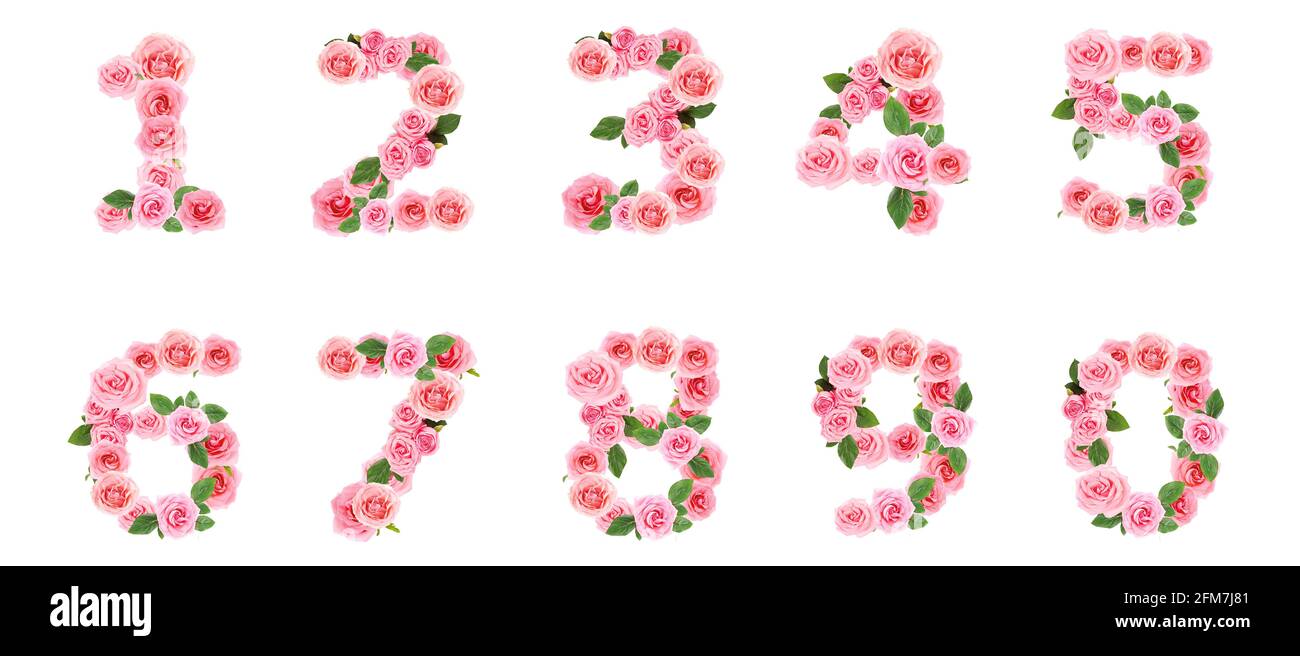 Numbers made of beautiful rose flowers on white background Stock Photo ...